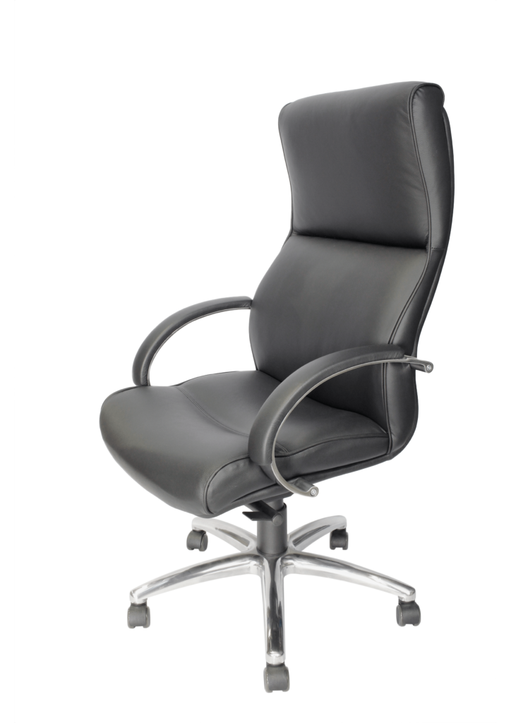 Jupiter Gas Lift Executive High Back Chair - Workspace Systems